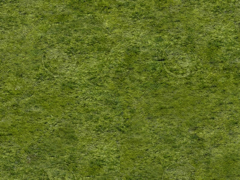 Texture Windows Bitmap grass ground green
