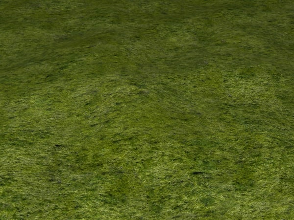 Texture Windows Bitmap grass ground green
