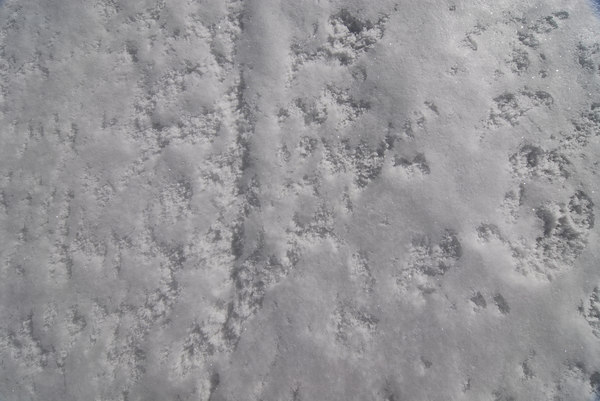 Texture JPEG ice snow snowy
