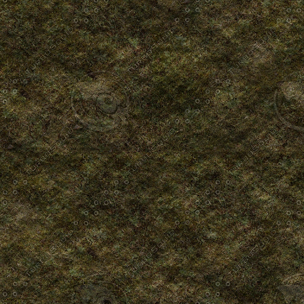 Texture ground 10 dirt