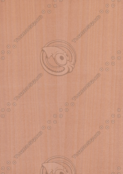 Texture JPEG veneer beech bamboo