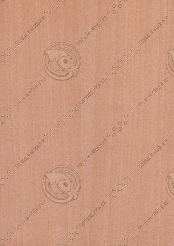 Texture JPEG veneer beech bamboo