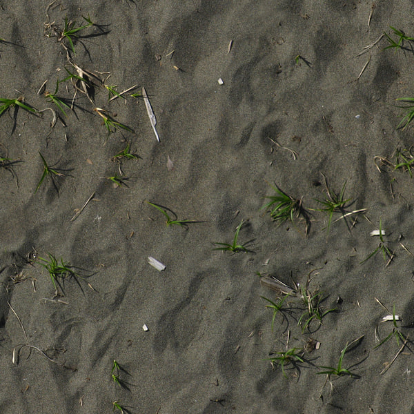 Texture JPEG sand beach sandy