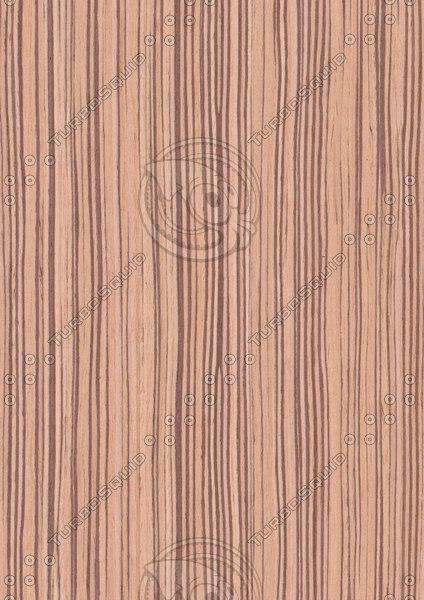 Texture JPEG zebrano zebra wenge