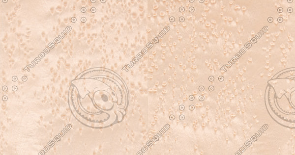 Texture JPEG birds eye maple