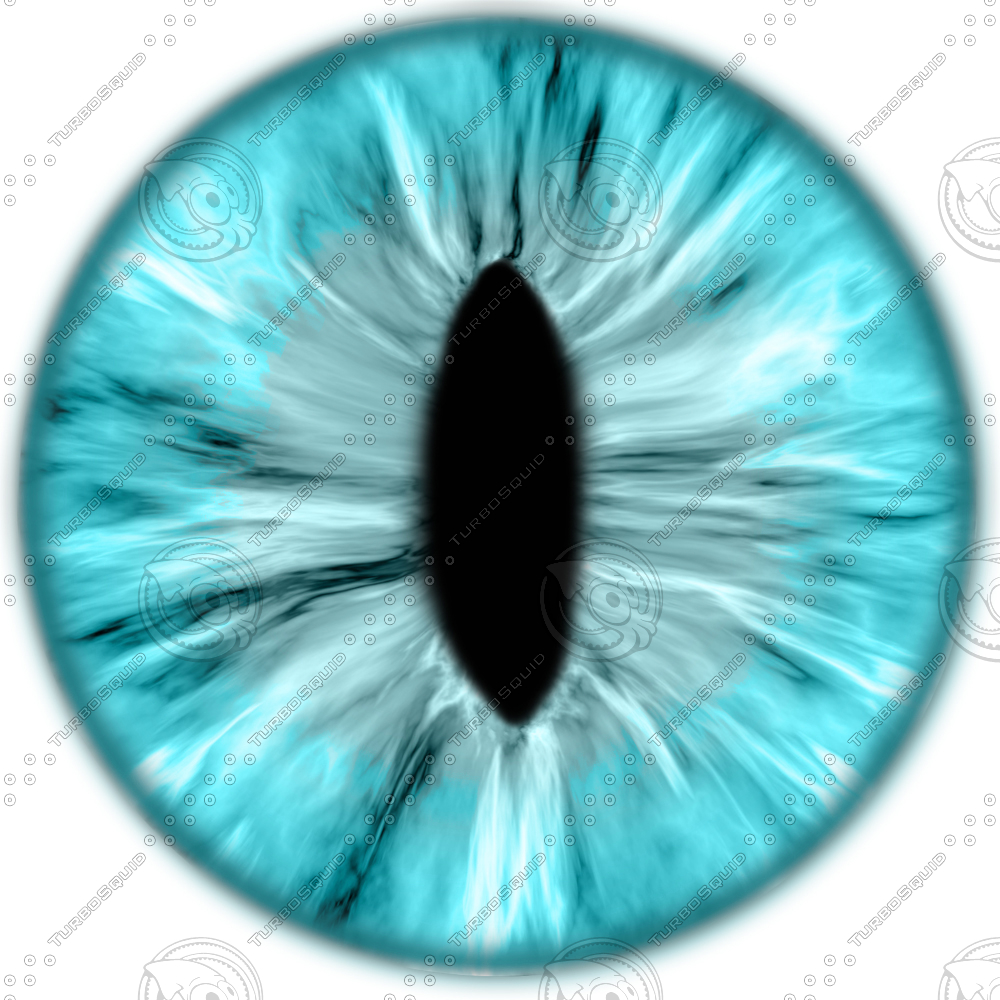Texture JPEG Iris Blue animal