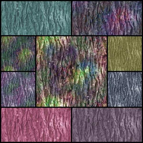 Texture JPEG bark fantasy texture