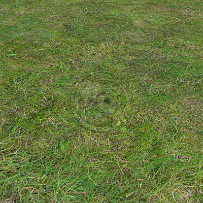Texture JPEG grass texture 2048