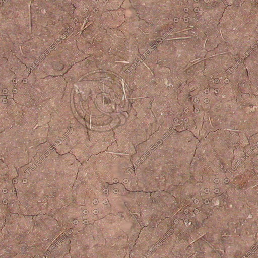 Texture JPEG Photo Realistic Ground