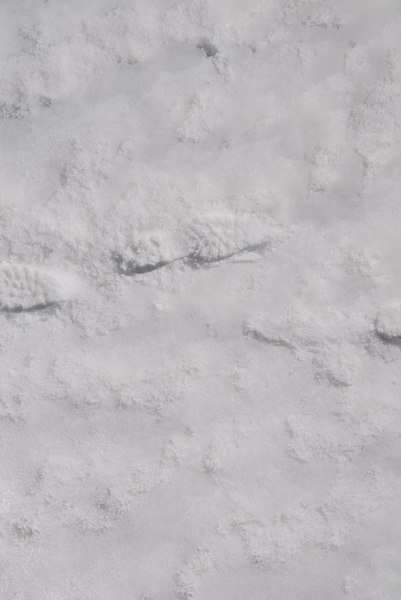 Texture JPEG ice snow snowy