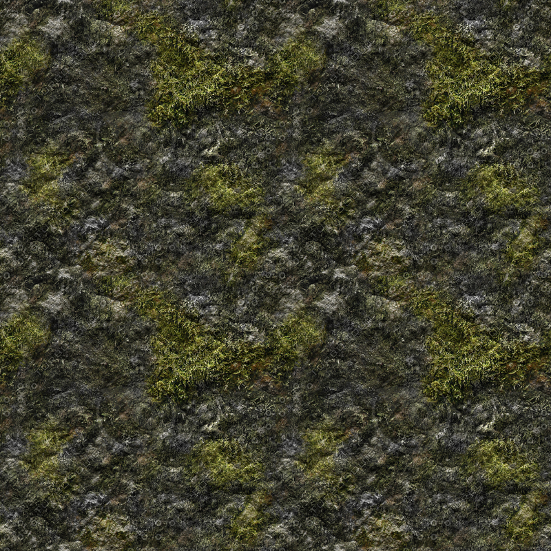 Texture JPEG mossy moss rock