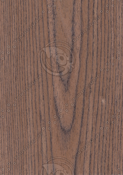 Texture JPEG oak nut nuss