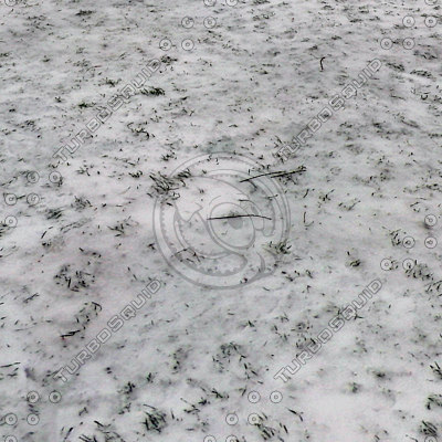 Texture JPEG snow grass texture