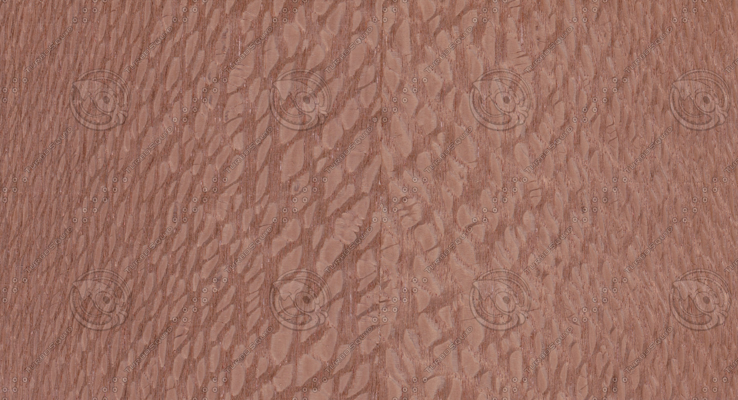 Texture JPEG carbalho bolivar birch