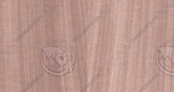 Texture JPEG tay sycamore bolivar