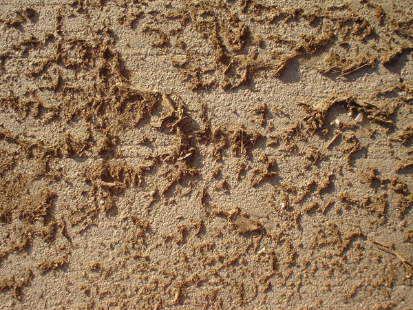 Texture JPEG mud dried clumps
