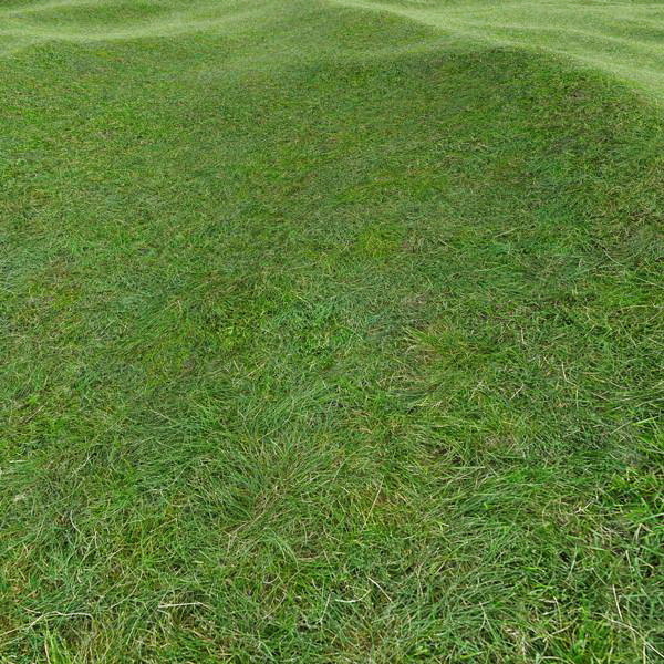 Texture JPEG grass lawn terrain