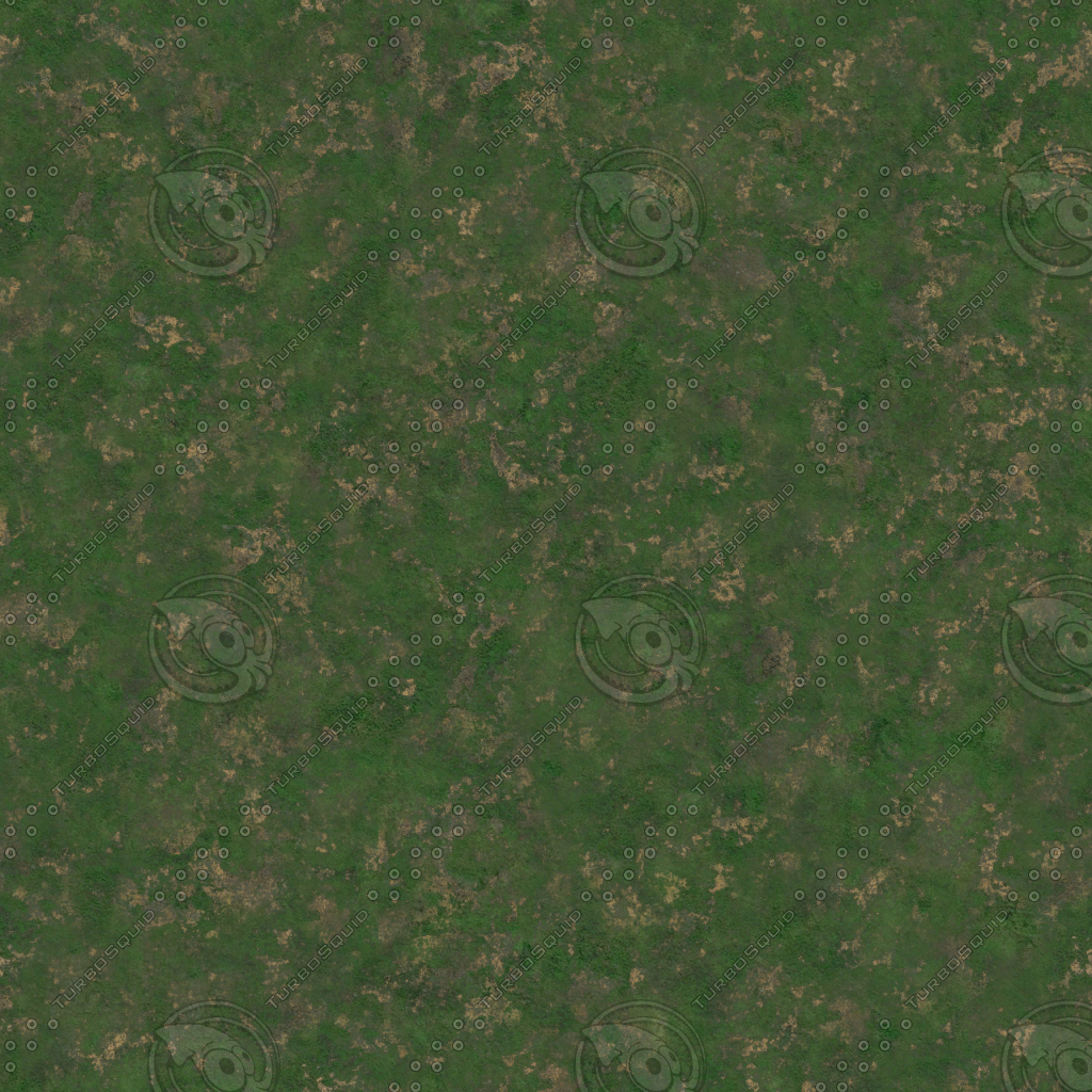 Texture JPEG grass tile ground