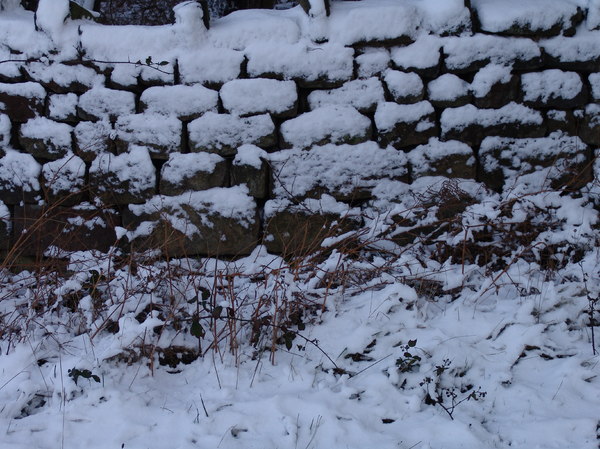 Texture JPEG ice snow snowy