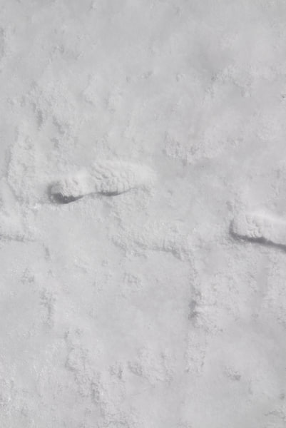 Texture JPEG ice snow snowy