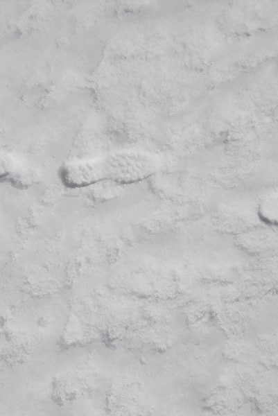 Texture JPEG ice snow snowy