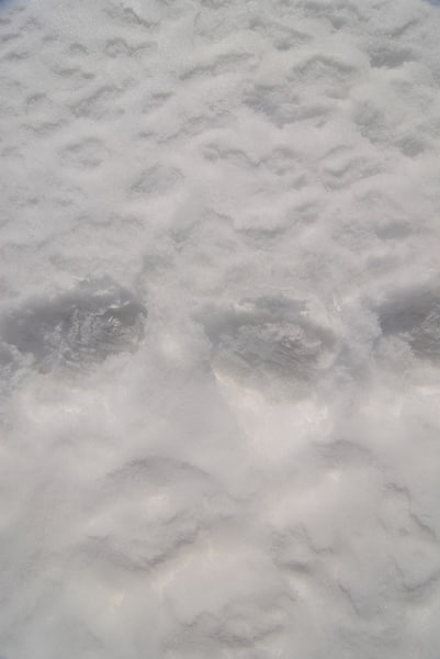 Texture JPEG ice snow snowy