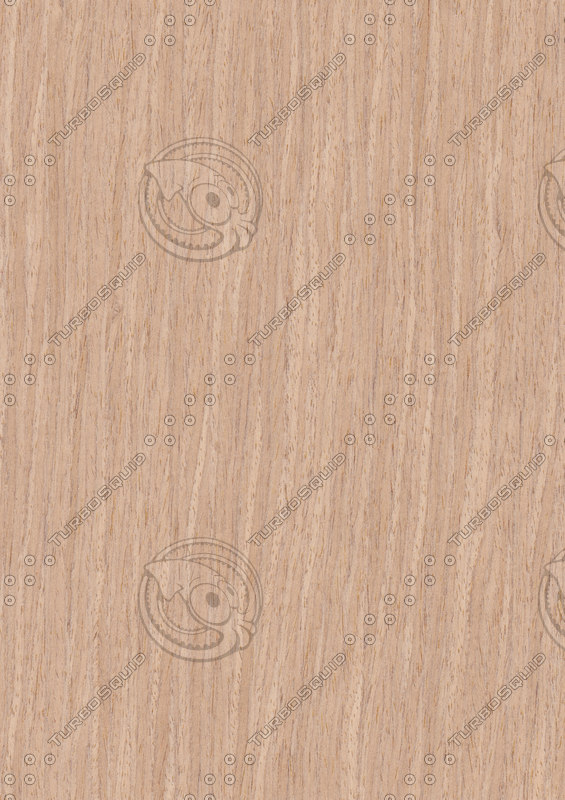 Texture JPEG oak nut nuss