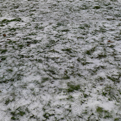 Texture JPEG snow grass texture