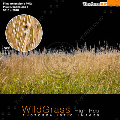 Texture PNG wild grass texturekit