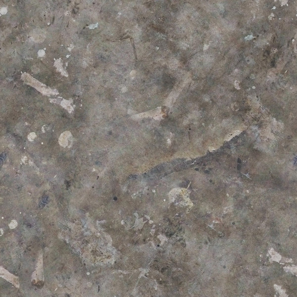 Texture JPEG Texture Stone Concrete