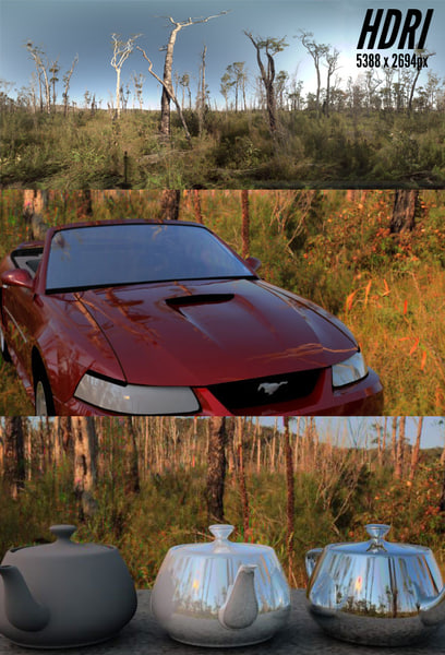 Texture hdri woods trees