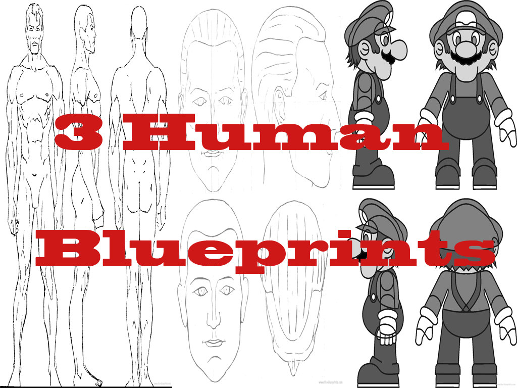 General GIF blueprint human mario