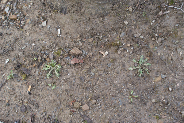 Texture JPEG Ground Terrain ripples
