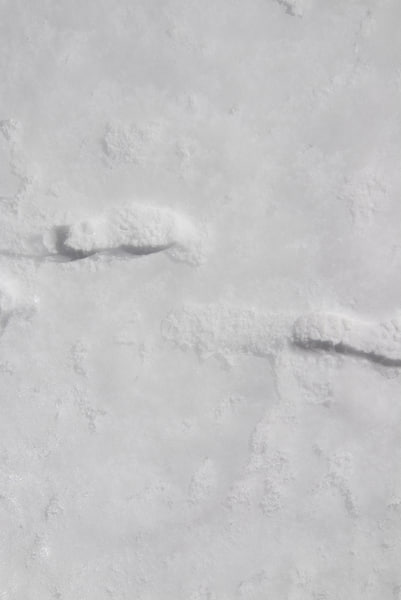 Texture JPEG ice snow snowy