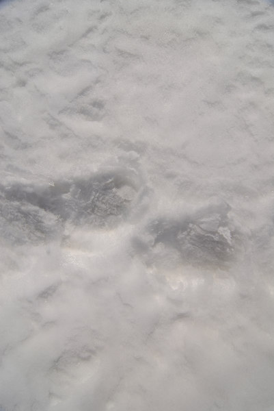 Texture JPEG ice snow snowy