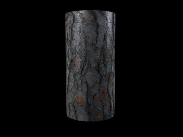 Texture JPEG tree bark wood