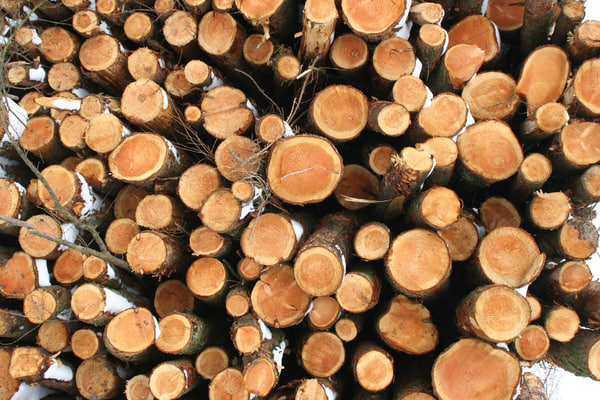 Texture JPEG wood wooden log