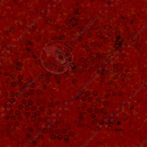 Texture Photoshop tissue texture organ