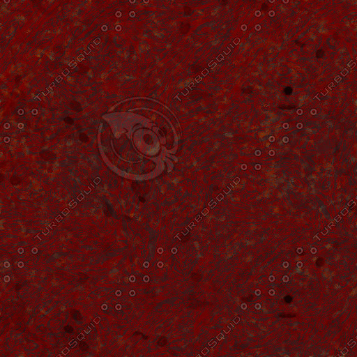 Texture Photoshop tissue texture organ