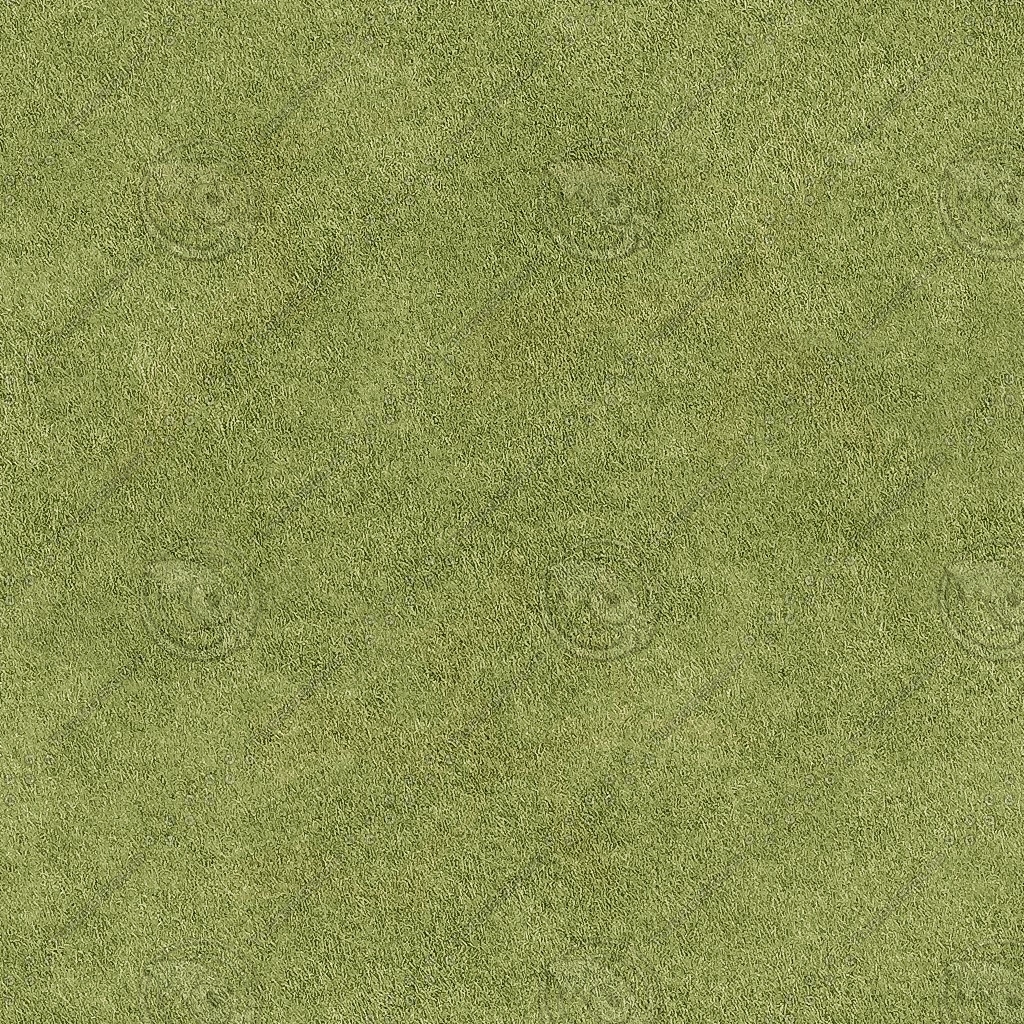 Texture JPEG fairway golf grass