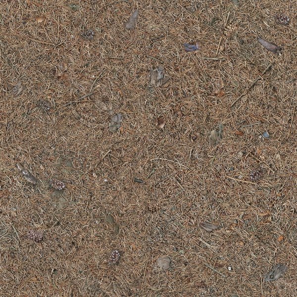 Texture Windows Bitmap Forest Texture Cone