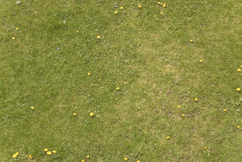 Texture JPEG grass lawn hd