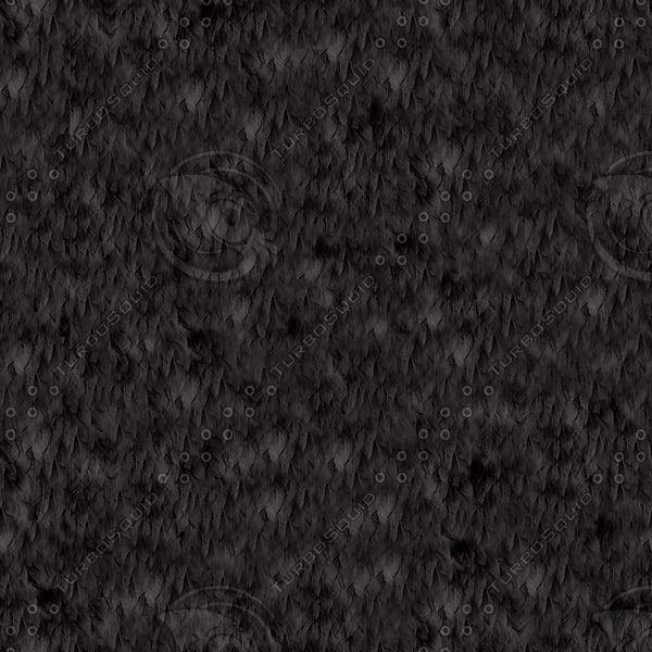 Texture Portable Bitmap black feather texture