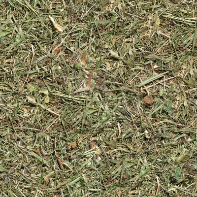 Texture PNG grungy pattern rust