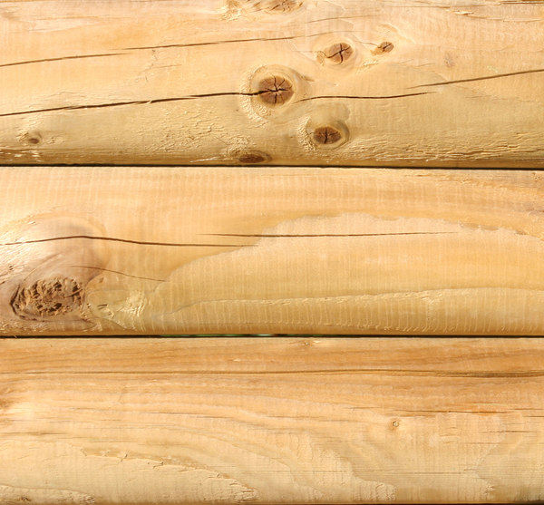 Texture JPEG wood wooden log
