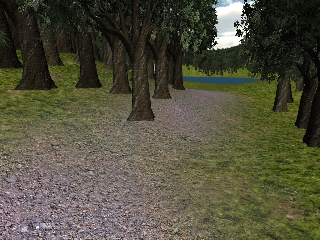 Texture Windows Bitmap Dirt Road Country