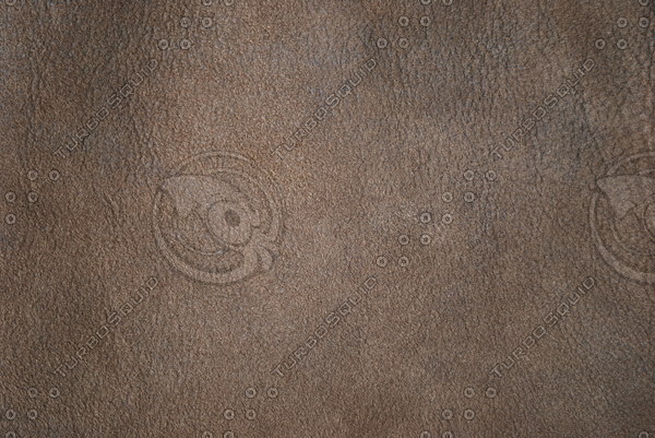 Texture JPEG leather texture nappa