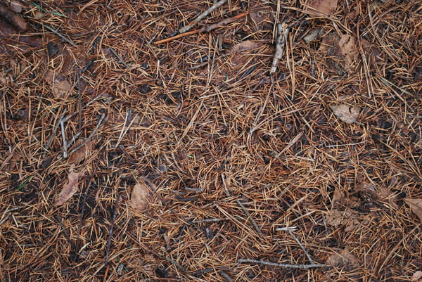 Texture JPEG ground pack texture
