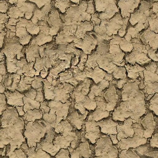 Texture JPEG earth ground dirt