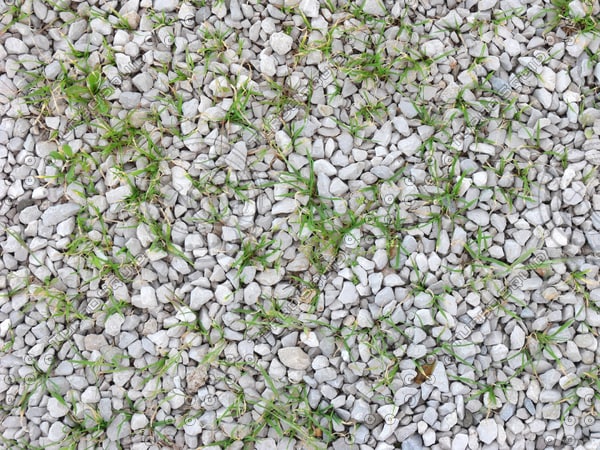 Texture JPEG pebble grass weed